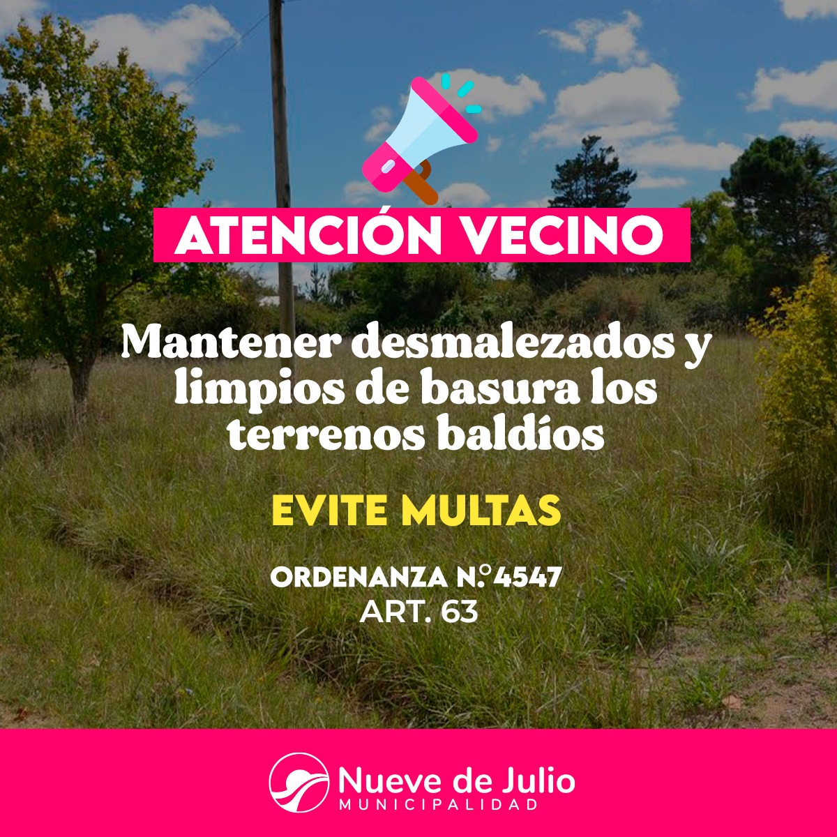 Municipalidad 9 de Julio | SE RECUERDA LA OBLIGATORIEDAD DE LIMPIAR LOS ...